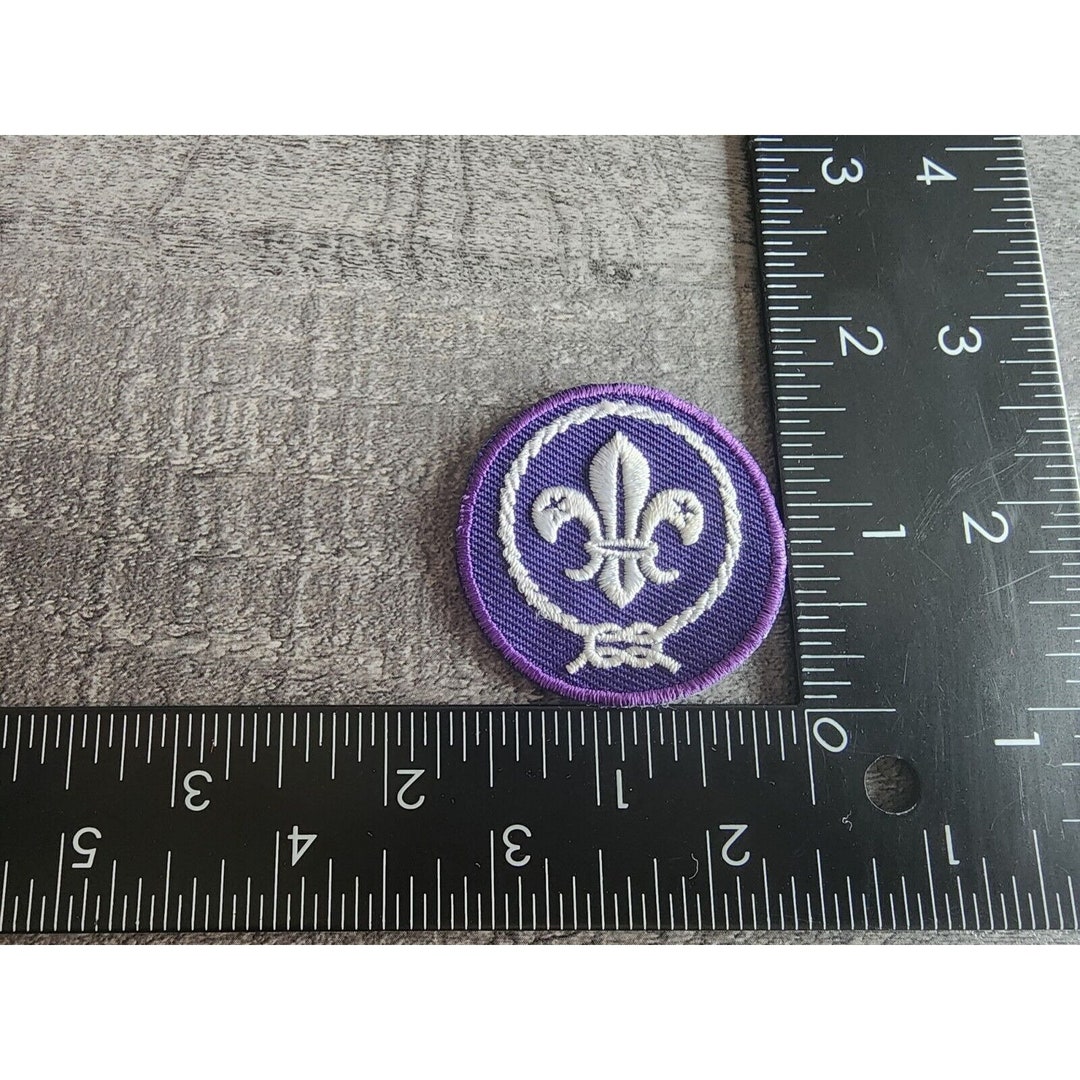 Boy Scout of America World Scouting Crest Patch Standard Size {ww} BSA ...