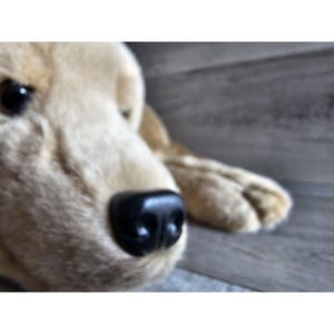 DITZ Designs Golden Retriever Puppy Dog 34 Plush Animal Realistic Hen ...