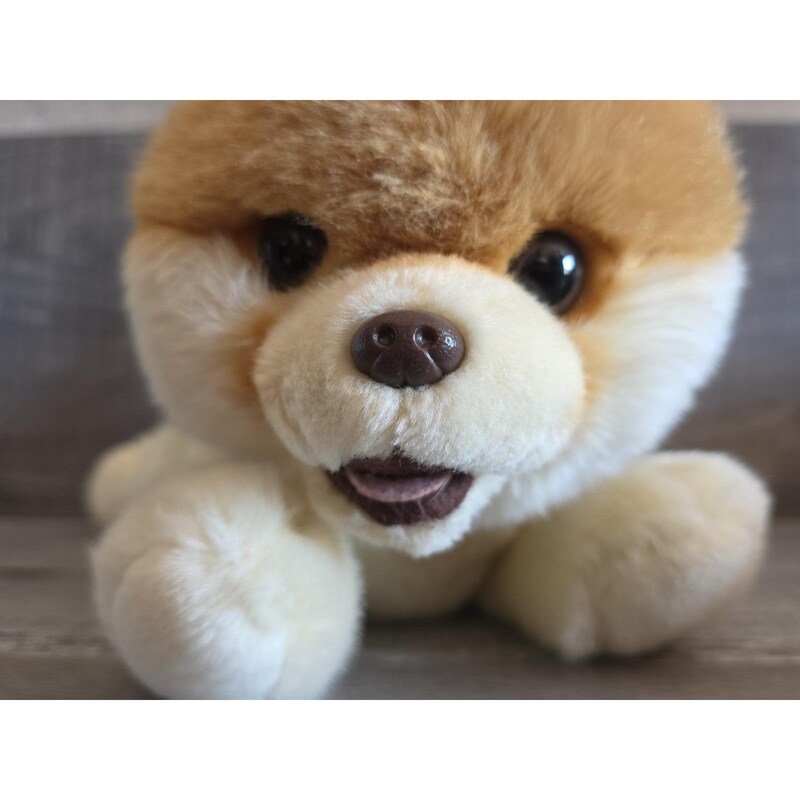 Pomeranian Plush - Etsy