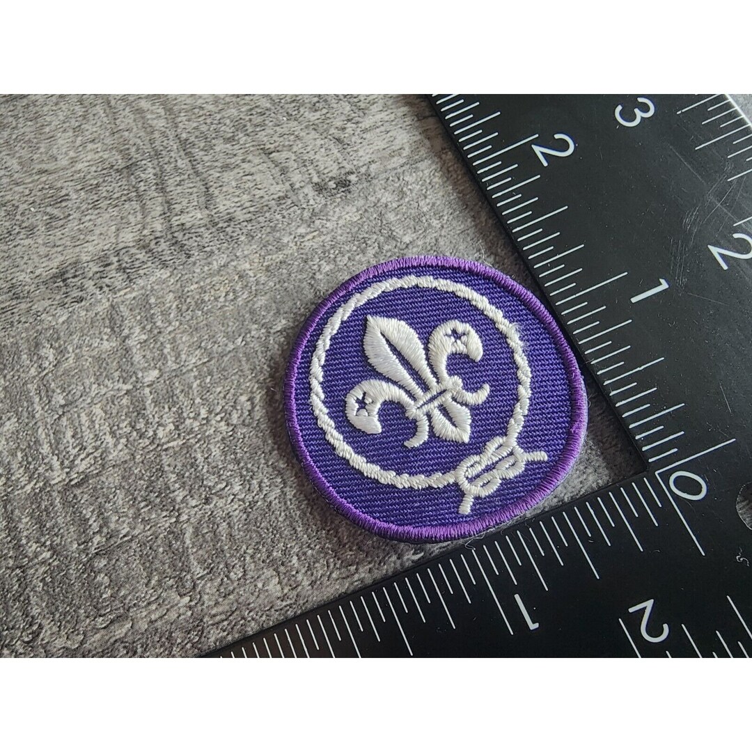 Boy Scout of America World Scouting Crest Patch Standard Size {ww} BSA ...