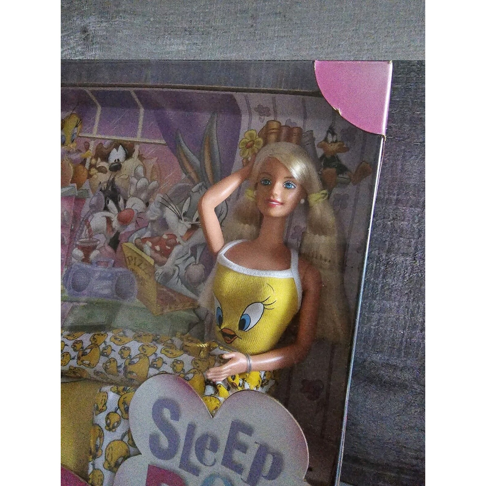 Vintage 1999 Barbie Sleep Over Party Warner Brothers Doll Tweety Looney ...