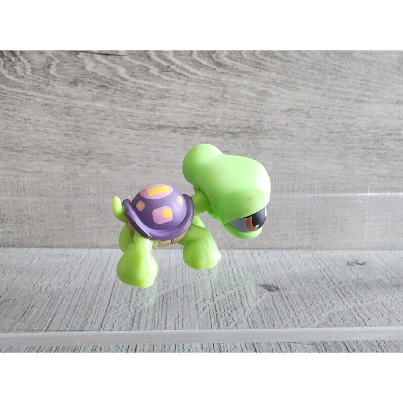 Littlest Pet Shop Green Turtle With Purple Shell 302 Sweet N Neat Pets ...