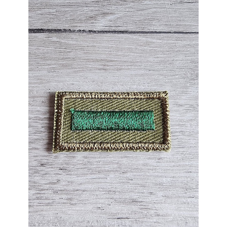 Assistant Patrol Leader Patch Insignia Badge Vintage 1950s Boy Scout ...