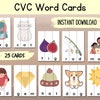 CVC Words Cards Printable, Phonics CVC Words Families, CVC Words ...