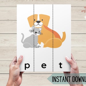 CVC Words Cards Printable, Phonics CVC Words Families, CVC Words ...