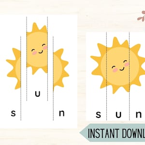 CVC Words Cards Printable, Phonics CVC Words Families, CVC Words ...