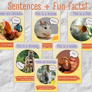 Animal Flashcards for Kids, Animals Digital Download Set of 14, Animal ...