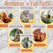 Animal Flashcards for Kids, Animals Digital Download Set of 14, Animal ...