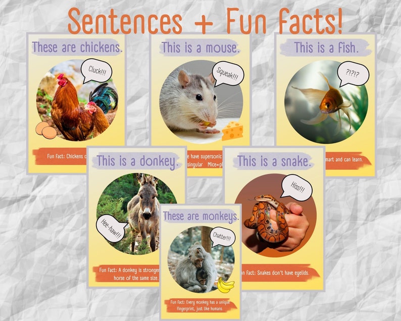 Animal Flashcards for Kids, Animals Digital Download Set of 14, Animal ...