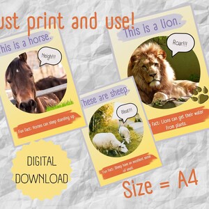 Animal Flashcards for Kids, Animals Digital Download Set of 14, Animal ...