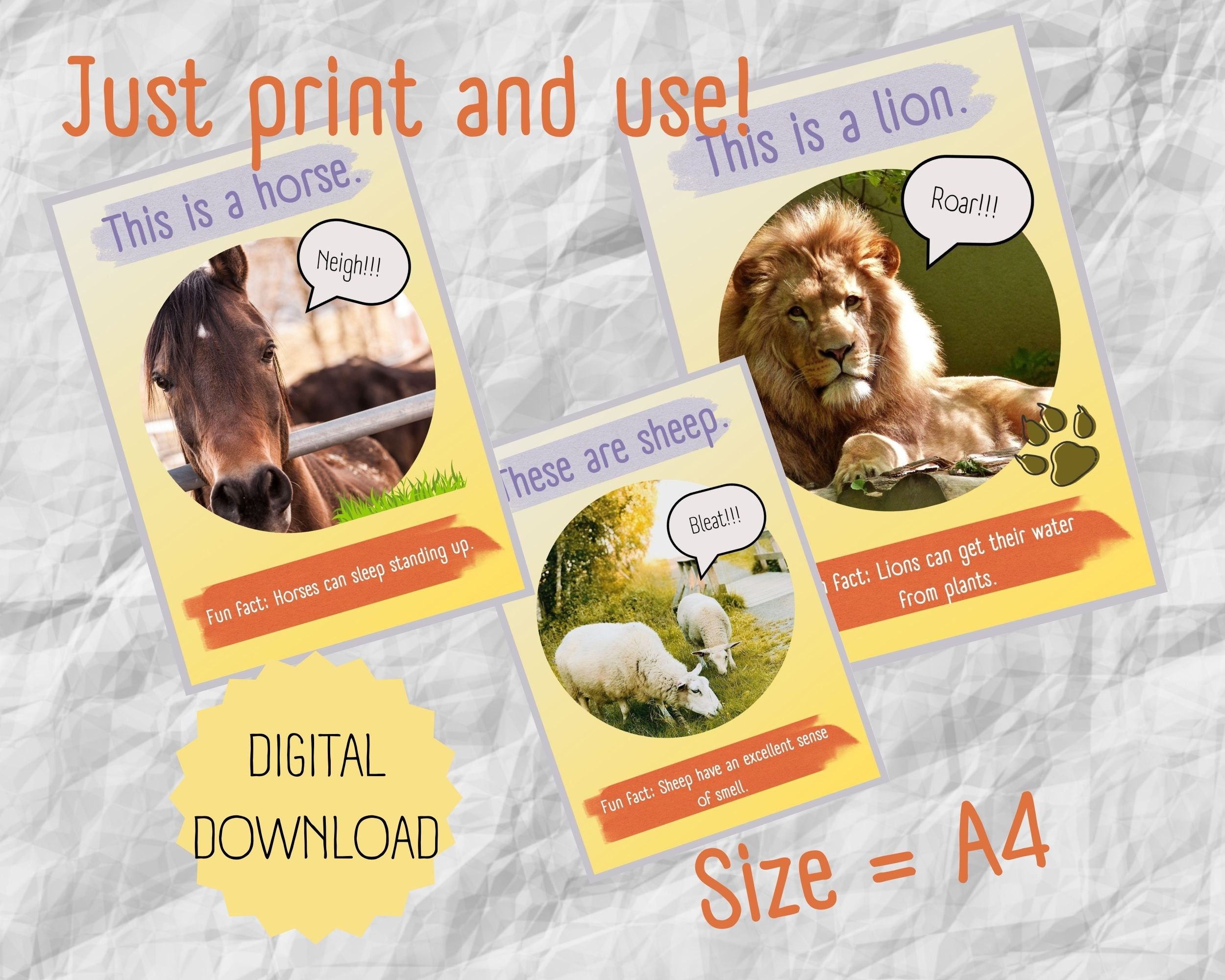 Animal Flashcards for Kids, Animals Digital Download Set of 14, Animal ...