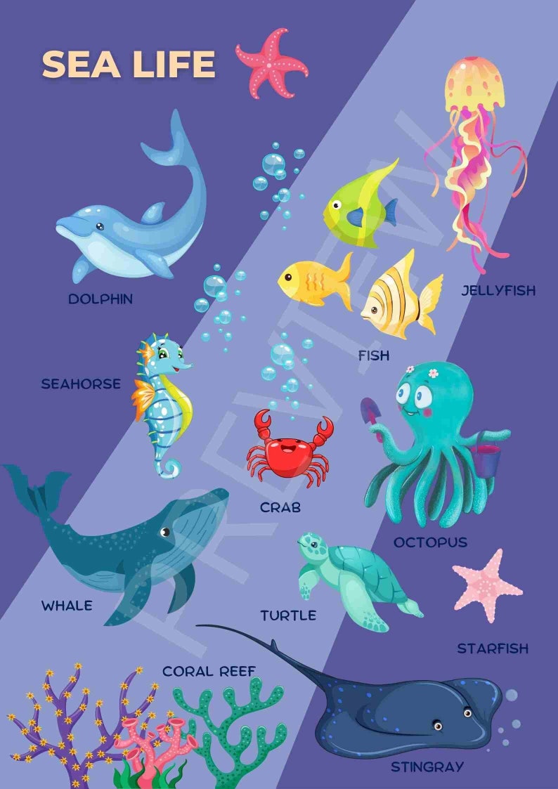 Sea Life Poster - Etsy