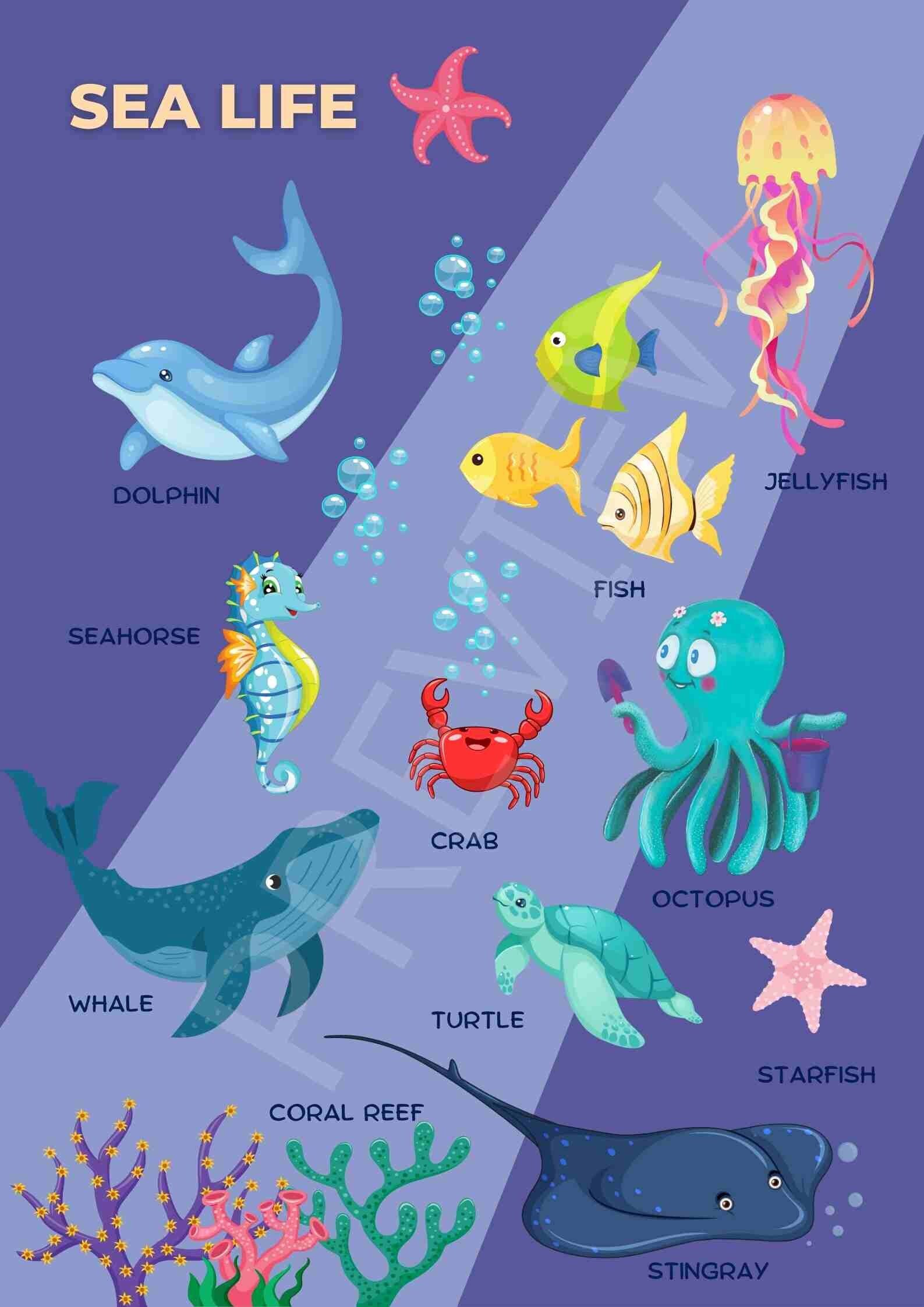 Sea Life Poster - Etsy