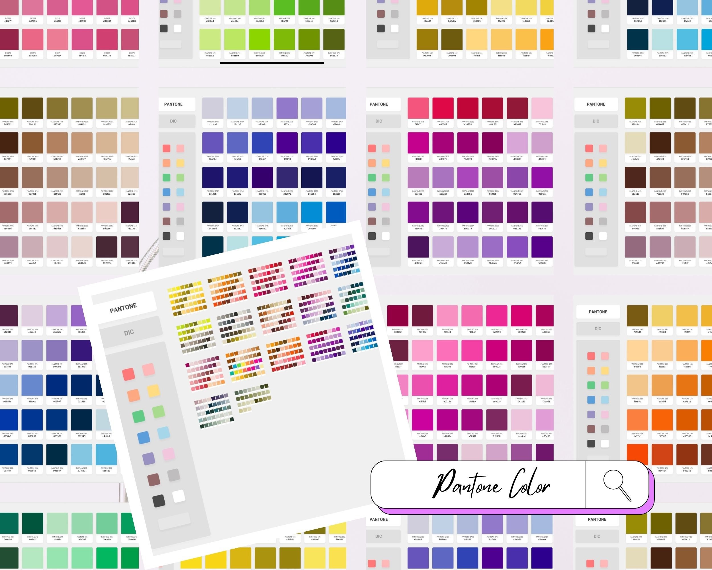 Cheapest Goodnotes Color Guide for Notebook & Digital Planner, Simple ...
