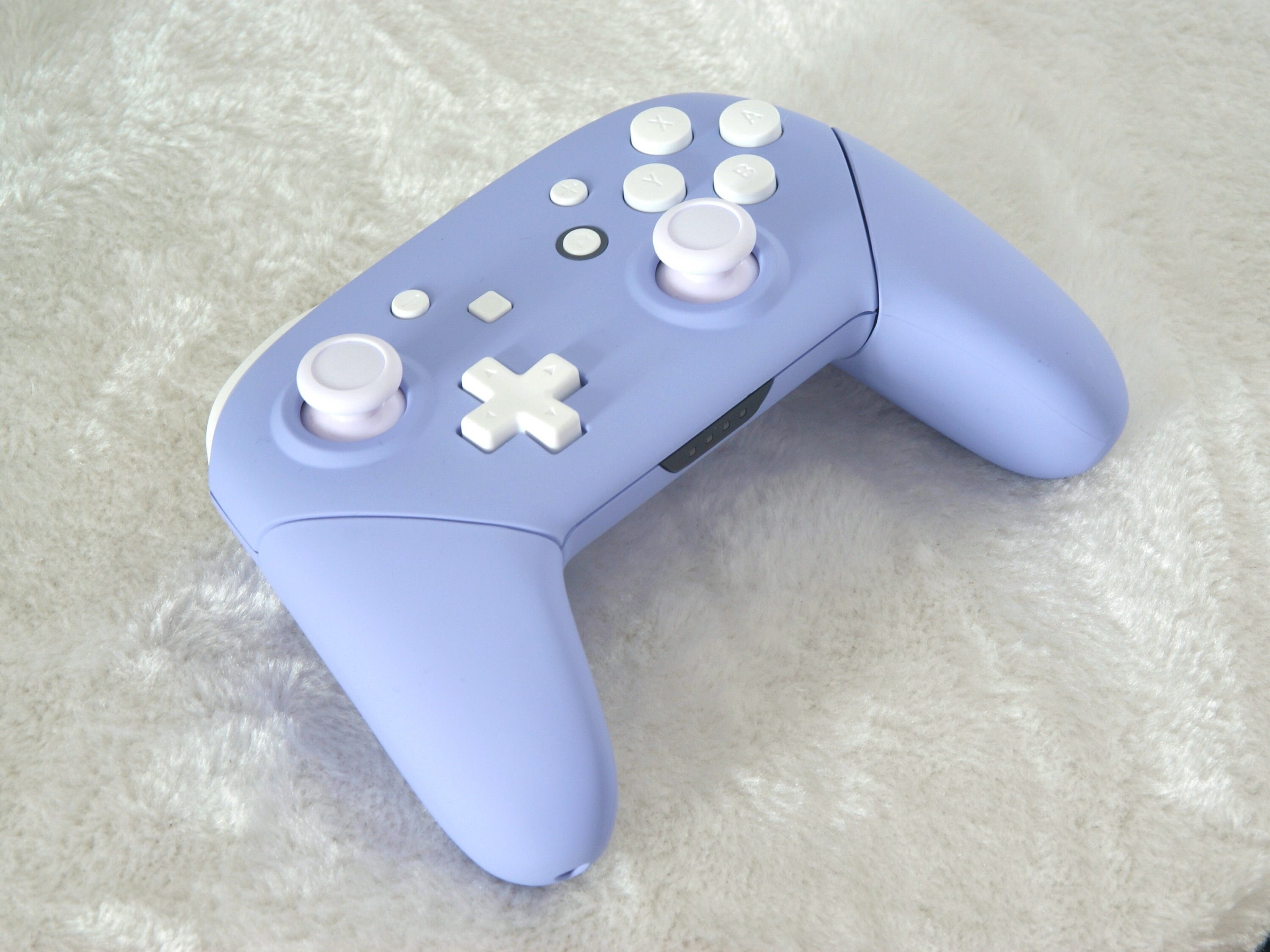 Nintendo Switch Pro Controller, Customized in Light Violet With White ...