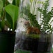 DIY Build a Bottle Ecosystem Science Project - Step by Step Building Instructions LOVE SCIENCE ...