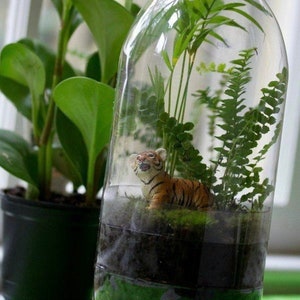DIY Build a Bottle Ecosystem Science Project - Step by Step Building Instructions LOVE SCIENCE ...
