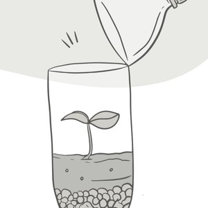 DIY Build a Bottle Ecosystem Science Project - Step by Step Building Instructions LOVE SCIENCE ...
