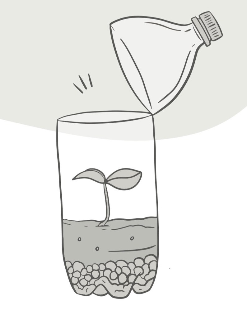 DIY Build a Bottle Ecosystem Science Project - Step by Step Building Instructions LOVE SCIENCE ...