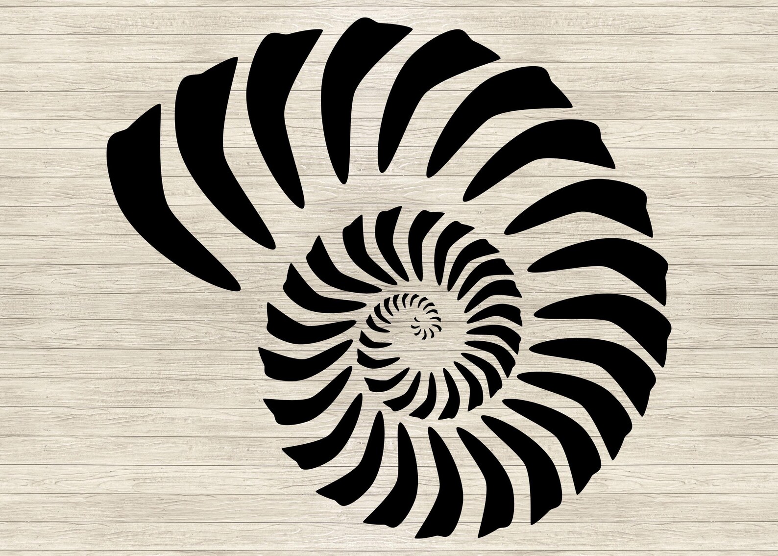 Nautilus Shell Stencil SVG | Sea Shell Stencil Design for Beach Decor ...