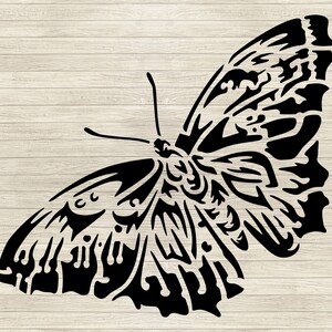 Butterfly Design Stencil Art, Vector SVG, Dxf, PNG, Butterfly Stencil ...