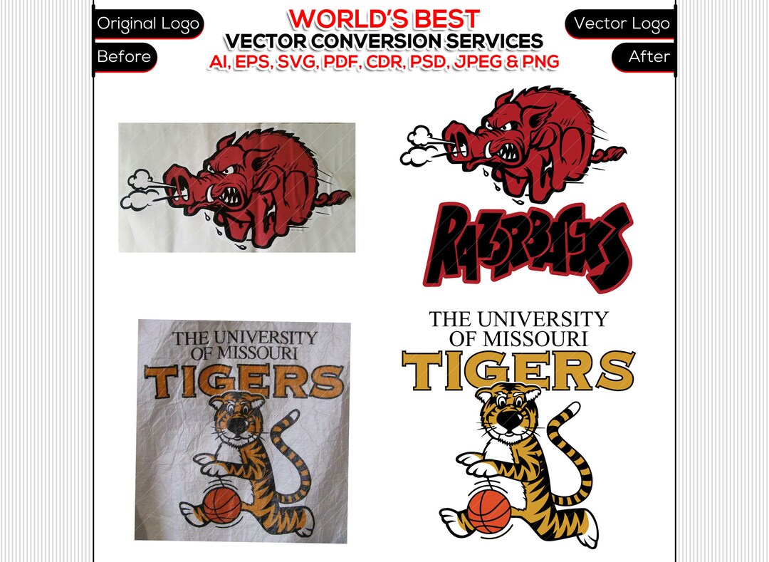 Logo Vector Tracing, Photo to Vector, Convert My Logo Into SVG, Ai or ...