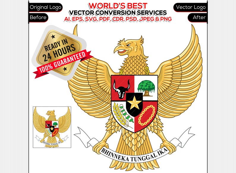 Logo Vector Tracing, Photo to Vector, Convert My Logo Into SVG, Ai or ...