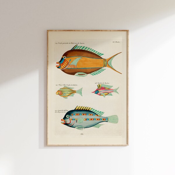 Vintage Fish Poster - Etsy