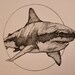 Handmade Detailed Pointillism Shark Unframed Art Print - Etsy