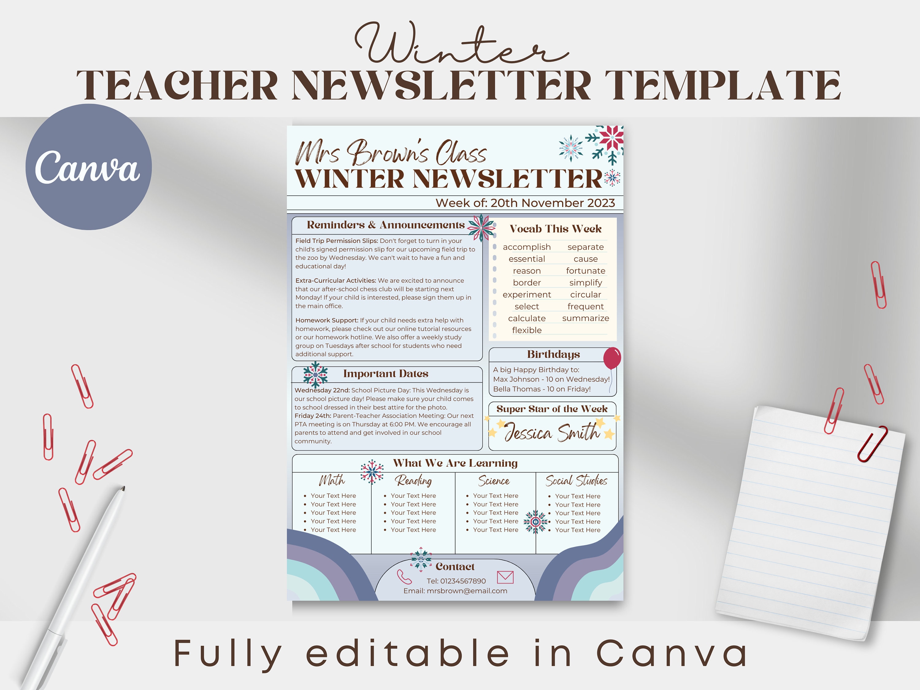Winter Newsletter Template