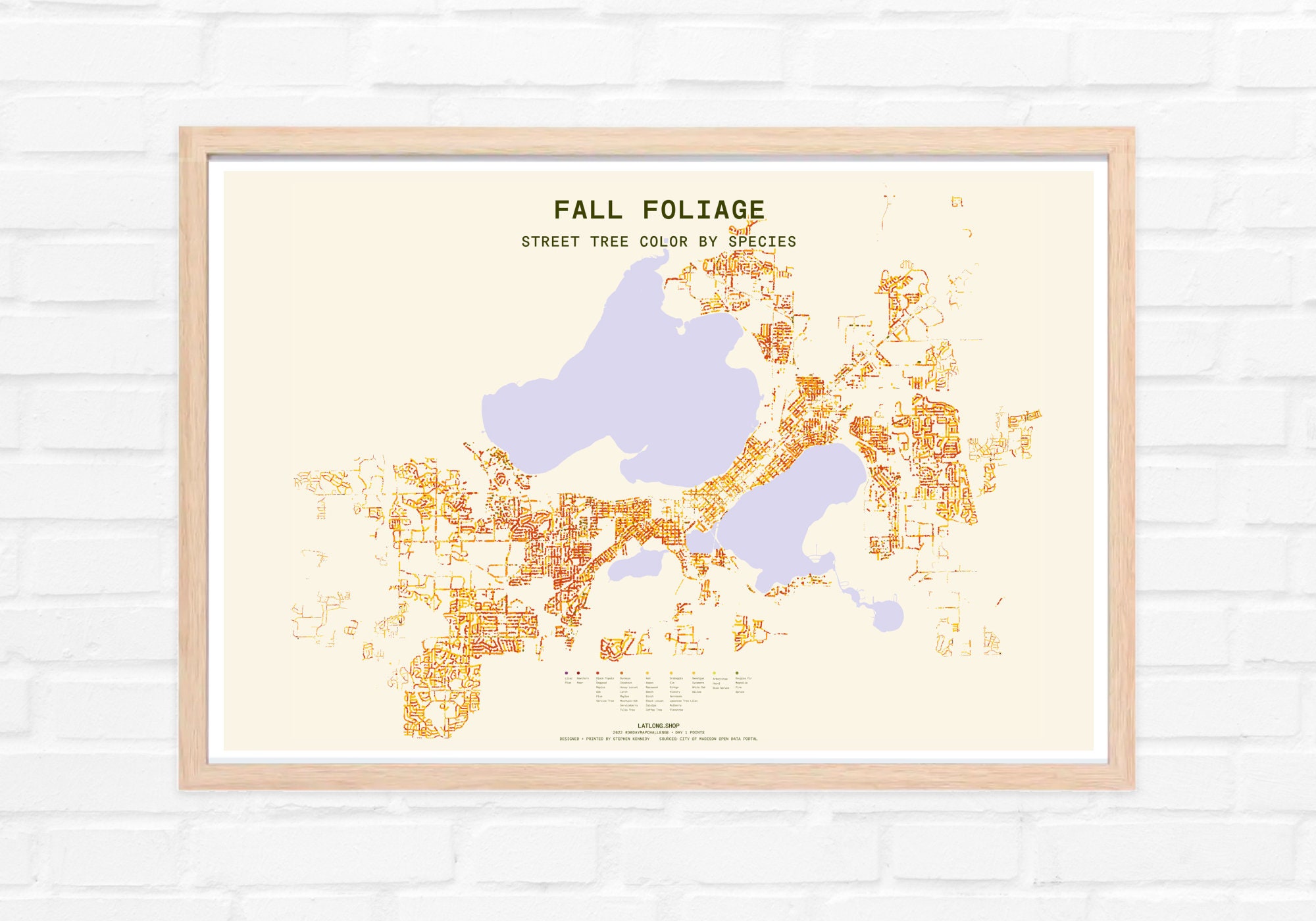 Madison WI / Fall Foliage / Map Art Print - Etsy