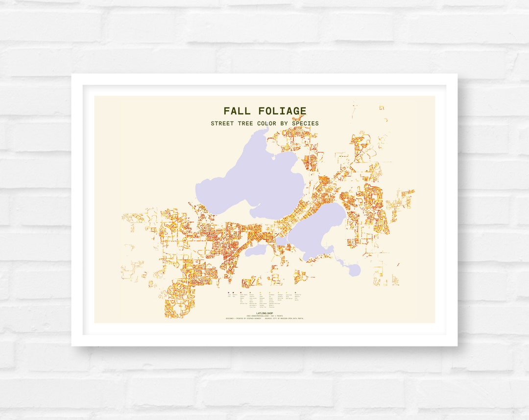 Madison WI / Fall Foliage / Map Art Print - Etsy