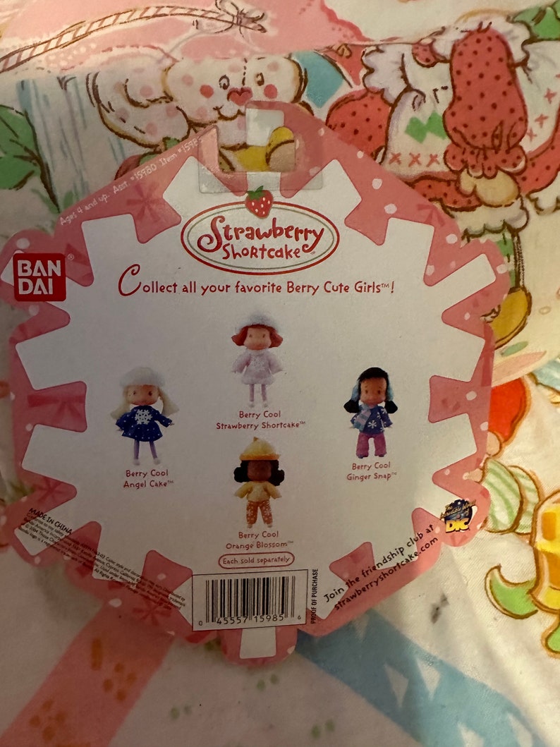 Strawberry Shortcake Berry Cool Christmas Mini Target Exclusive - Etsy