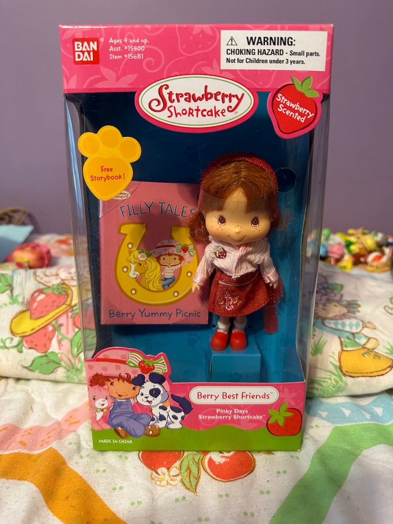 Strawberry Shortcake Berry Best Friends Pinky Days - Etsy