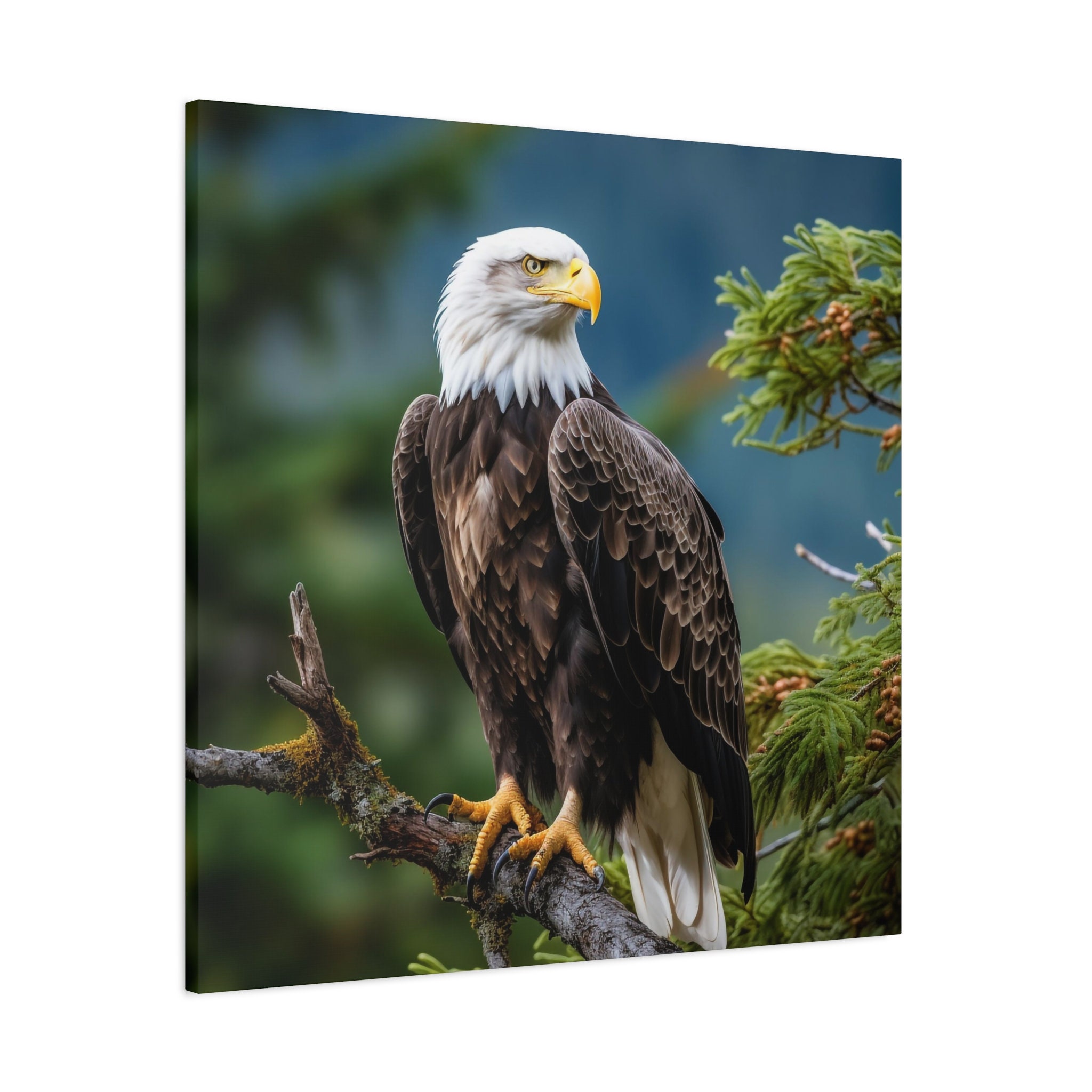 Eagle Canvas - Picture of Bald Eagle Perched Upon a Treetop, Eagle Wall ...