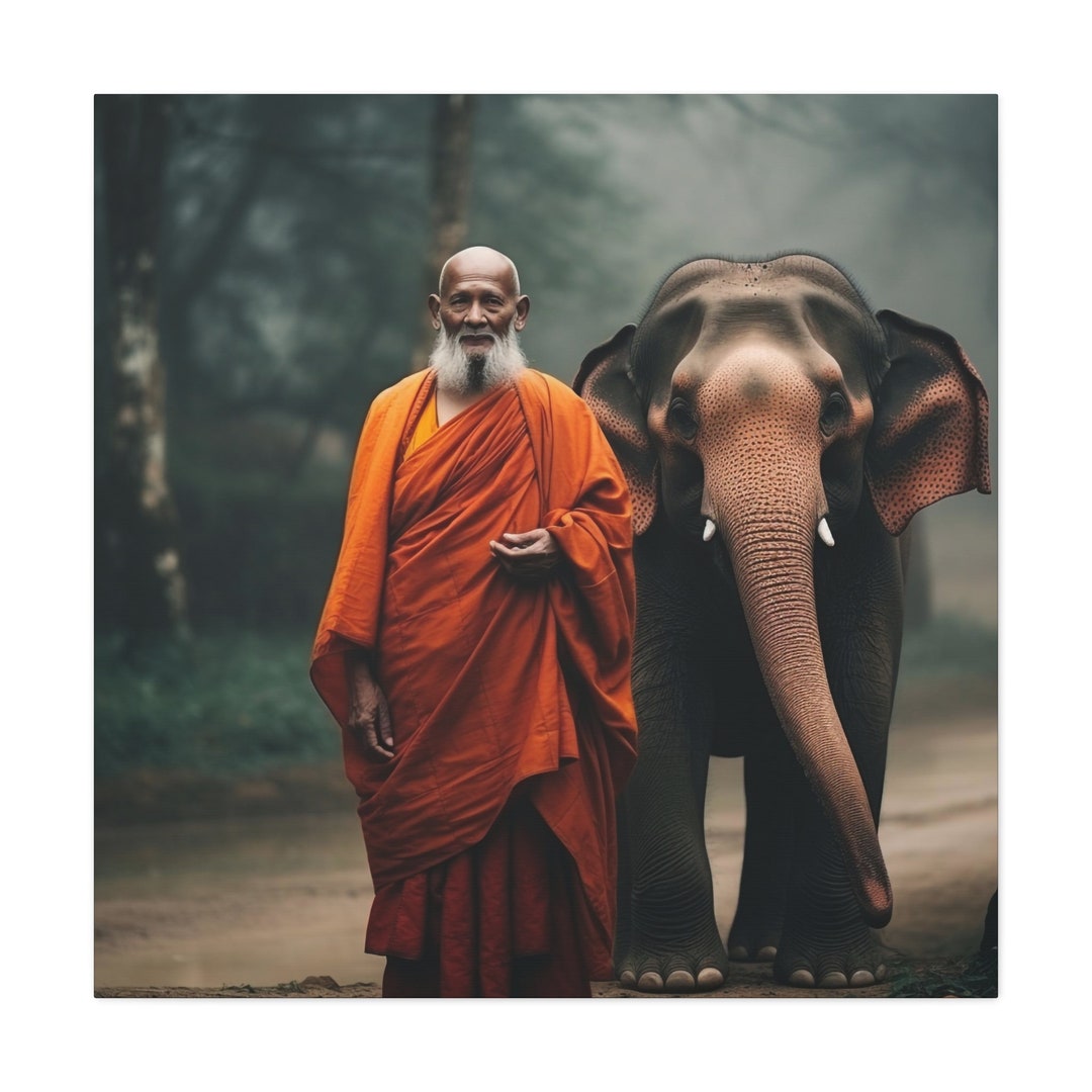 Elephant Picture - Elegant Color Photograph of an Asian Elephant and a ...
