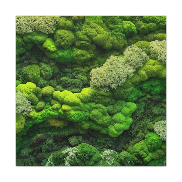 Moss Wall Decor - Etsy