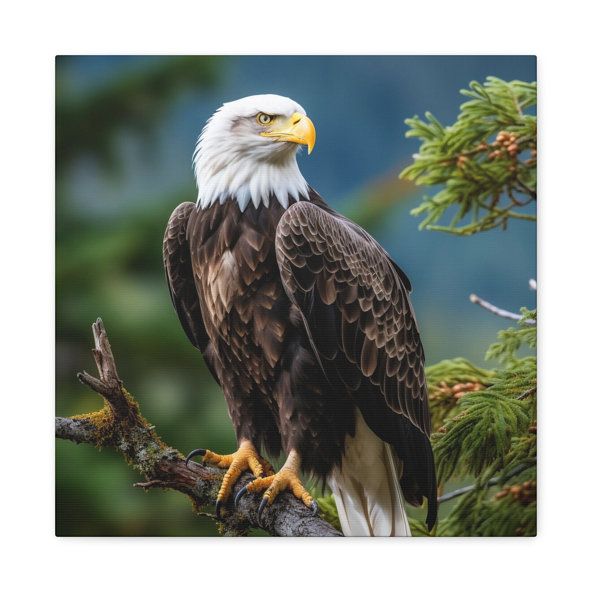 Eagle Canvas Picture of Bald Eagle Perched Upon a Treetop, Eagle Wall ...