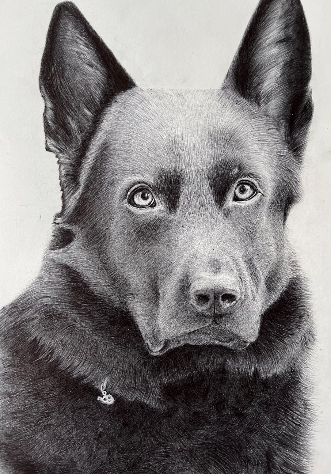 A5 Custom Dog Portrait in Ballpoint Pen - Etsy