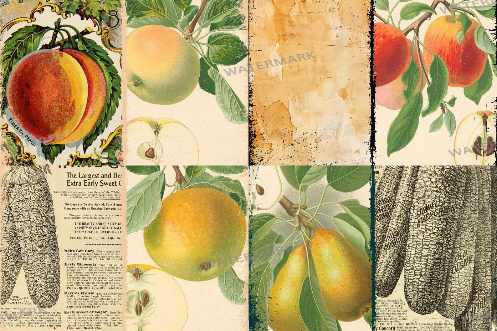Fruit Junk Journal Papers - Vintage Fruit & Vegetable Hand-drawn ...