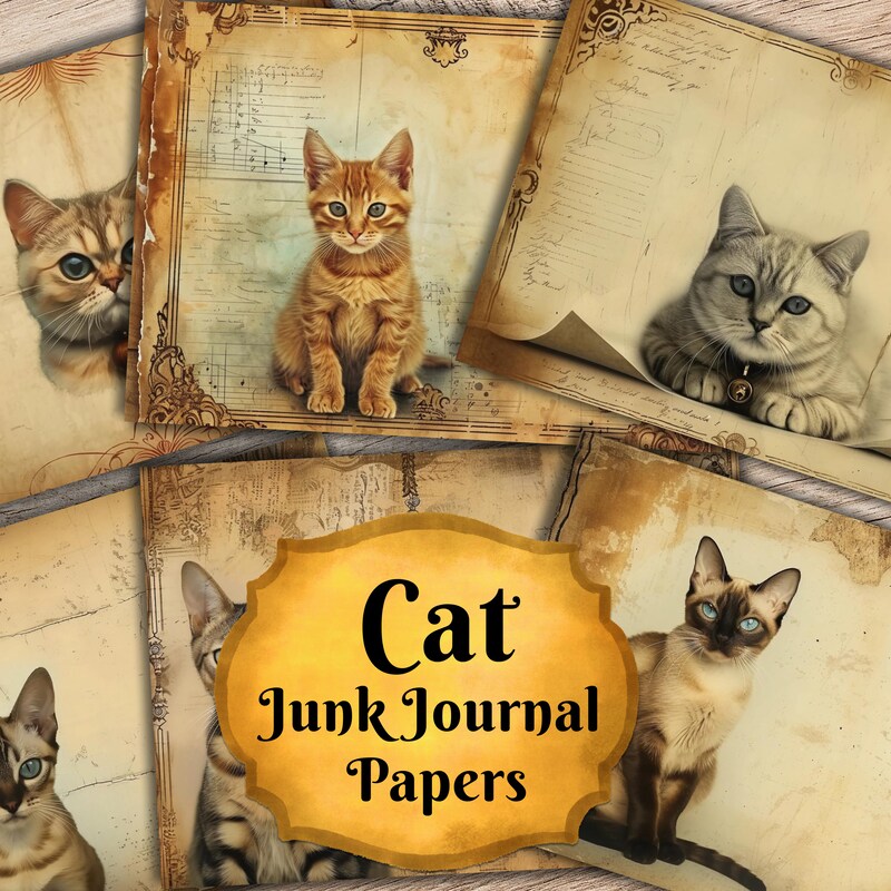 Cat Scrapbook - Etsy