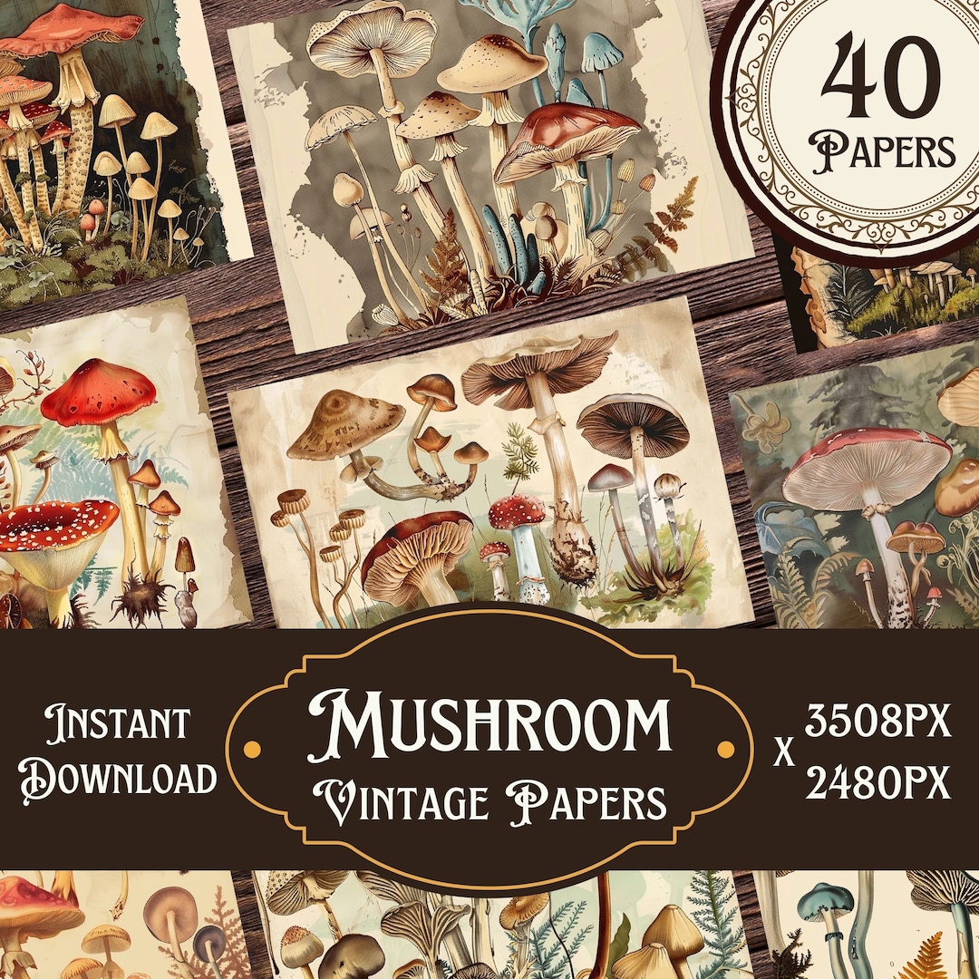 Mushroom Papers - Vintage Papers - Digital Download - Printable Fall ...