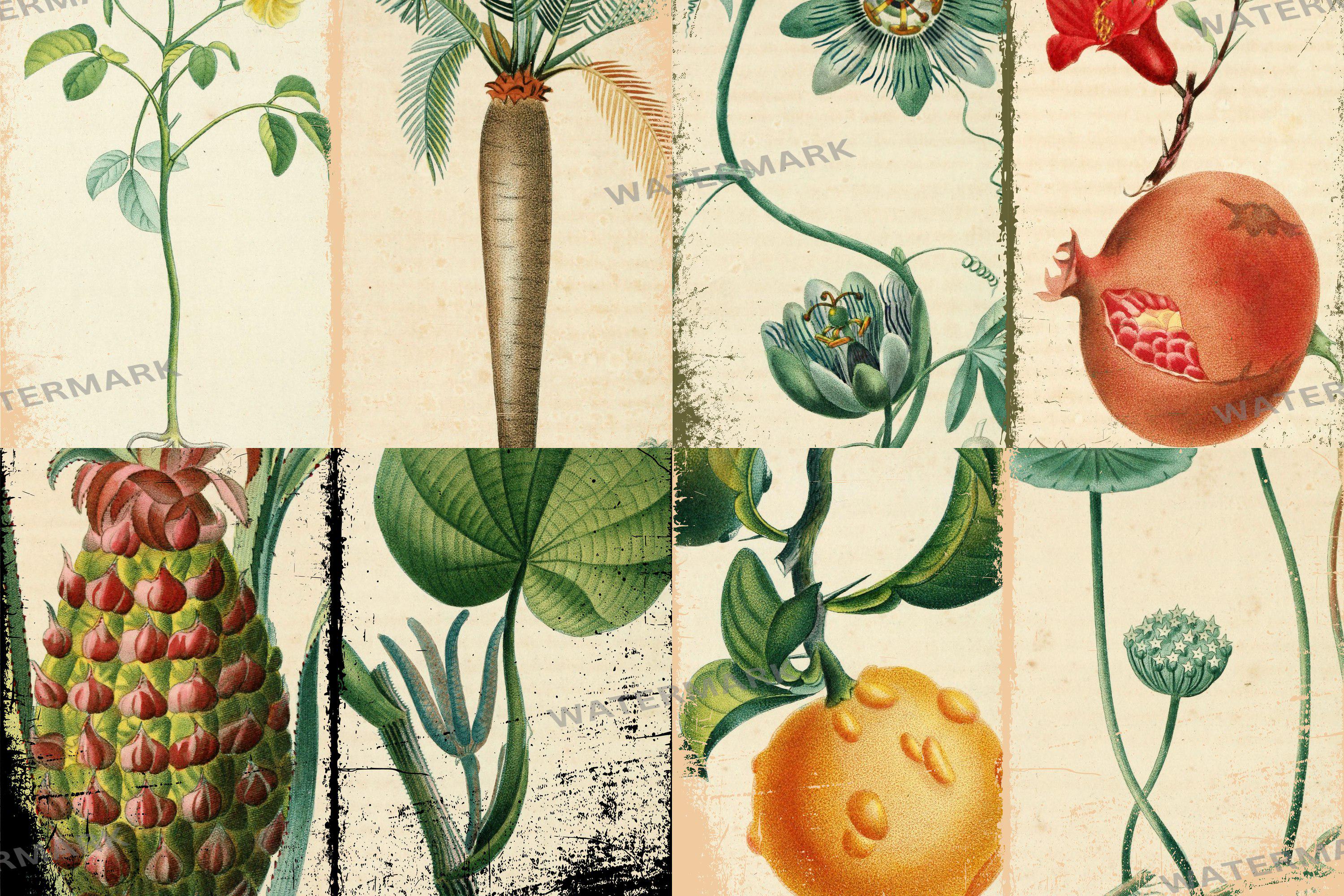 Botanical Junk Journal Kit - Botany Sheets - Printable Paper Pack ...