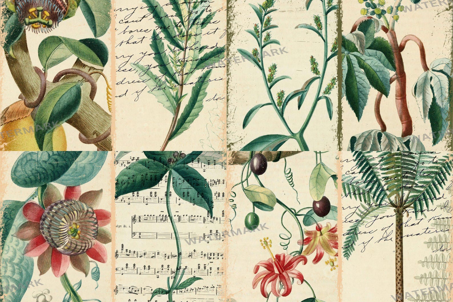 Botanical Junk Journal Kit - Botany Sheets - Printable Paper Pack ...