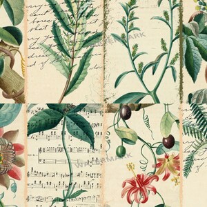 Botanical Junk Journal Kit - Botany Sheets - Printable Paper Pack ...