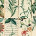 Botanical Junk Journal Kit - Botany Sheets - Printable Paper Pack ...