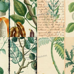 Botanical Junk Journal Kit - Botany Sheets - Printable Paper Pack ...