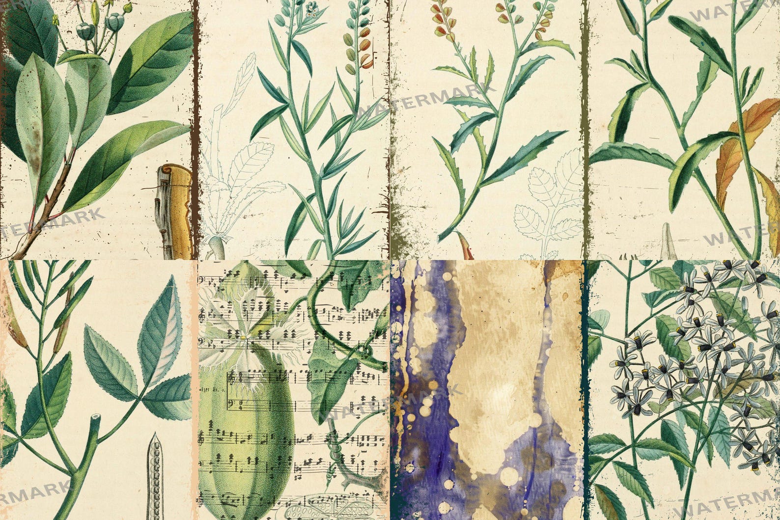 Botanical Junk Journal Kit - Botany Sheets - Printable Paper Pack ...