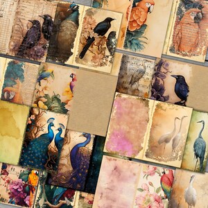 Birds Junk Journal Kit, 60 Printable Vintage Bird Pages (digital ...