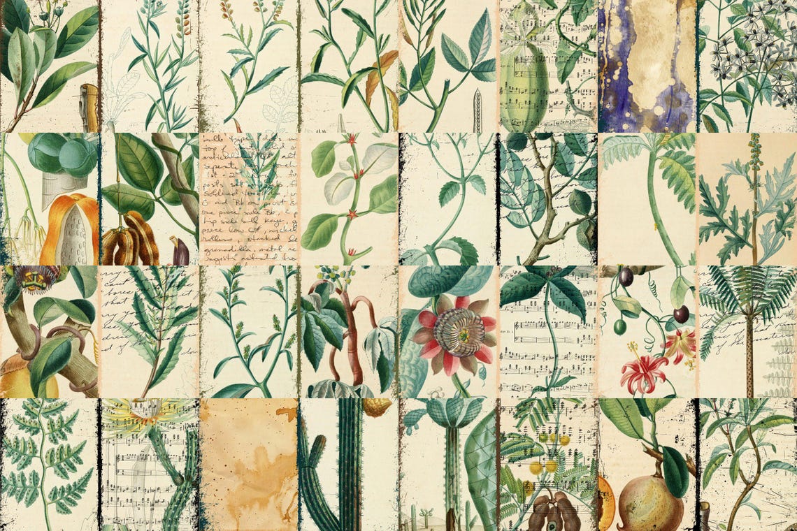 Botanical Junk Journal Kit - Botany Sheets - Printable Paper Pack ...